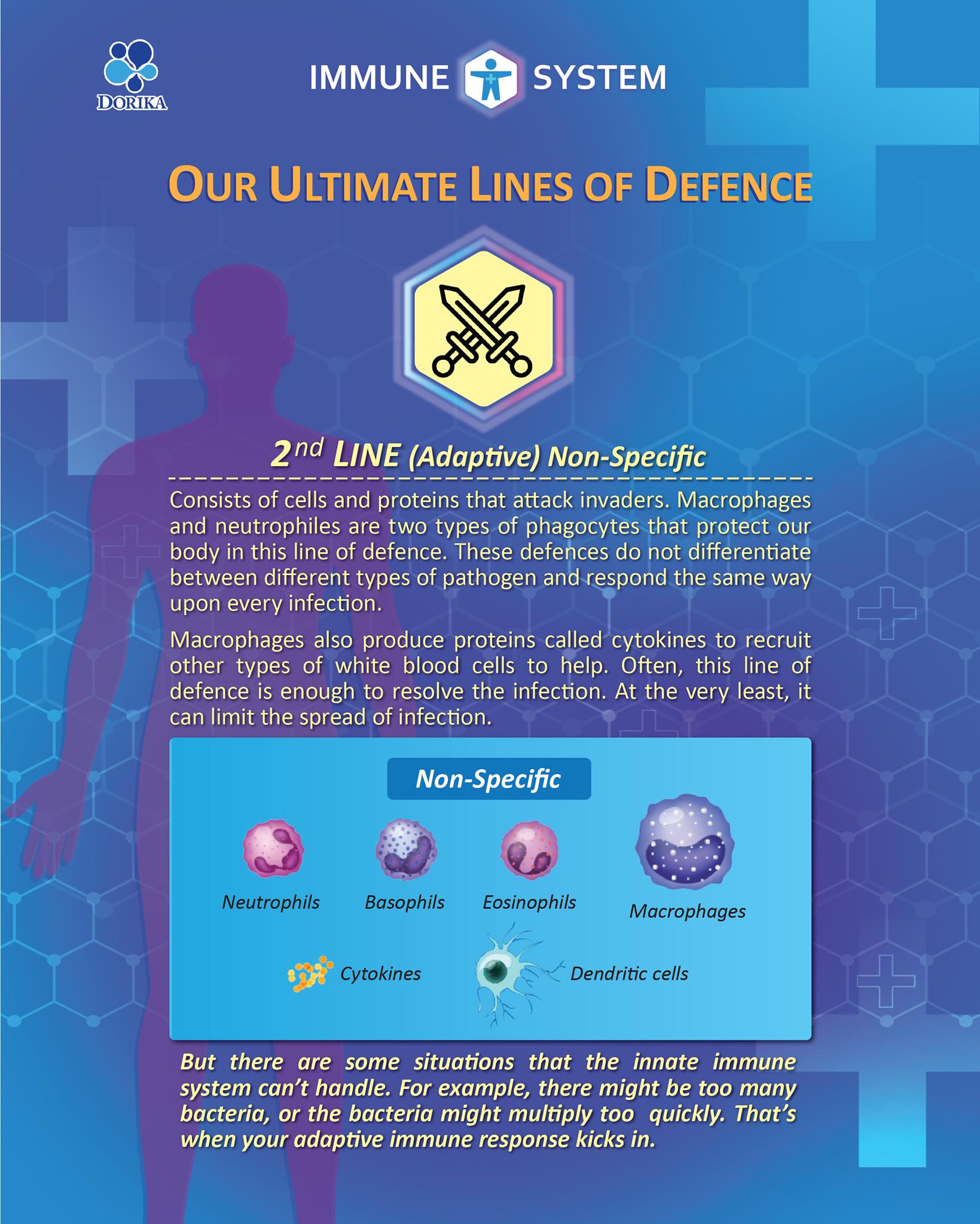 The Immune System: Our Ultimate Line of Defence - DORIKA MAHO